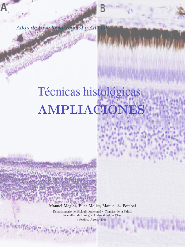 Tecnicas Ampliaciones | PDF | Tinción | Dispositivo de carga acoplada
