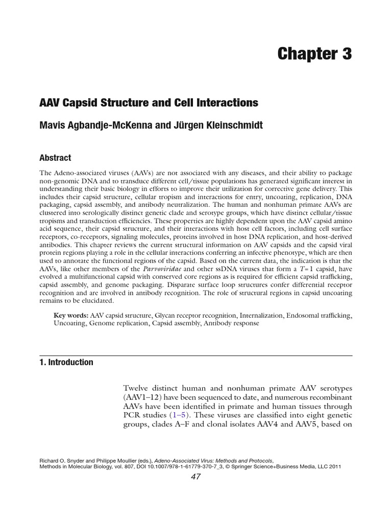Aav Capsid Structure and Cell Interactions: Mavis Agbandje-Mckenna and ...