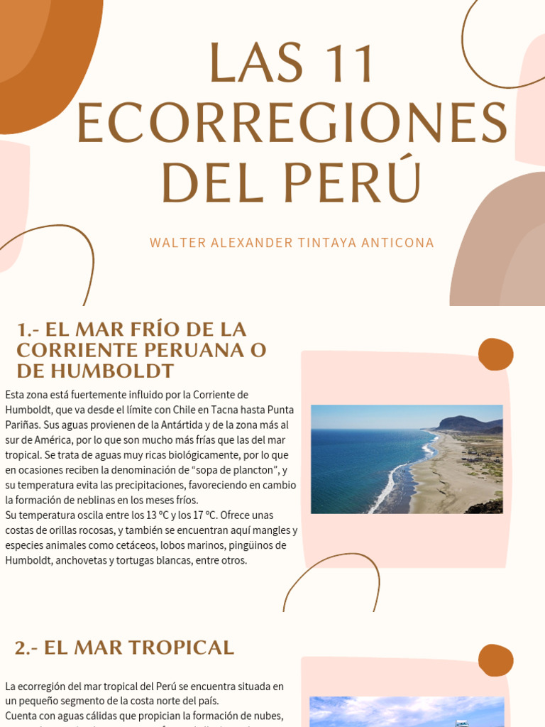 Tarea 2 - Las 11 Ecorregiones Del Perú - Walter Tintaya. | PDF ... Tarea 2 - Las 11 Ecorregiones Del Perú - Walter Tintaya. | PDF ...