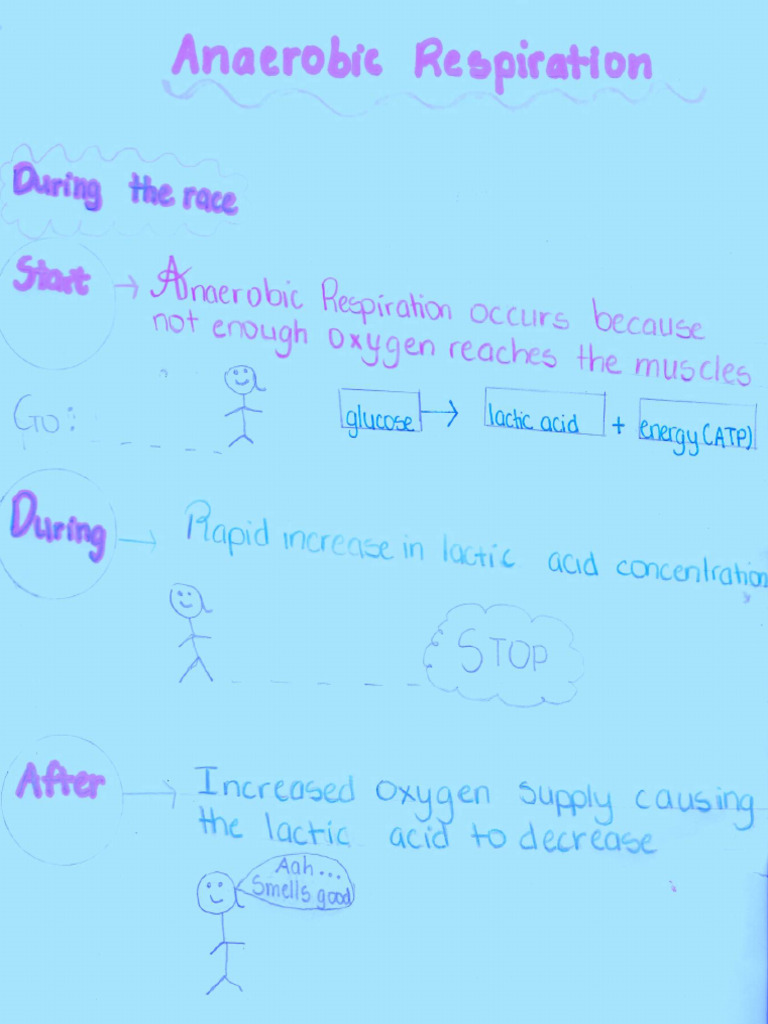 Biology Sketch Note | PDF