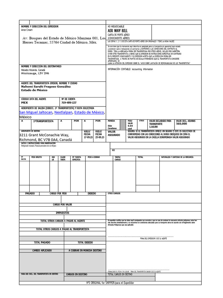 Awb - Air Waybill | Descargar gratis PDF | Economias