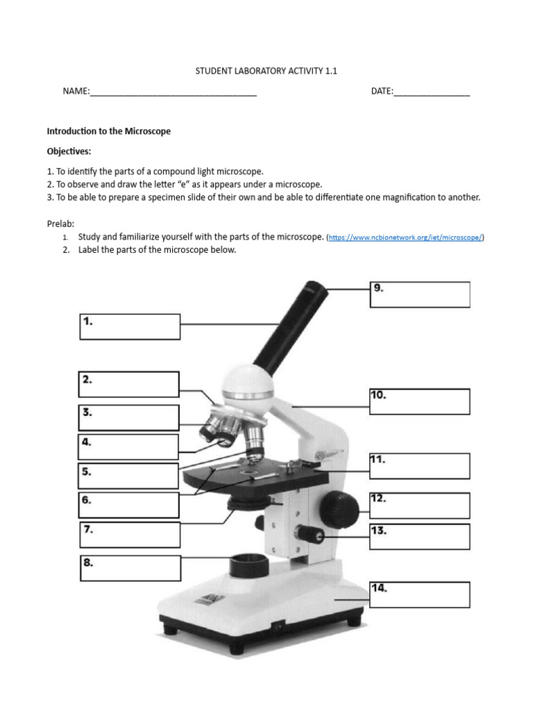 Student Laboratory Activity 1 Microscope | PDF | Laboratories | Optics
