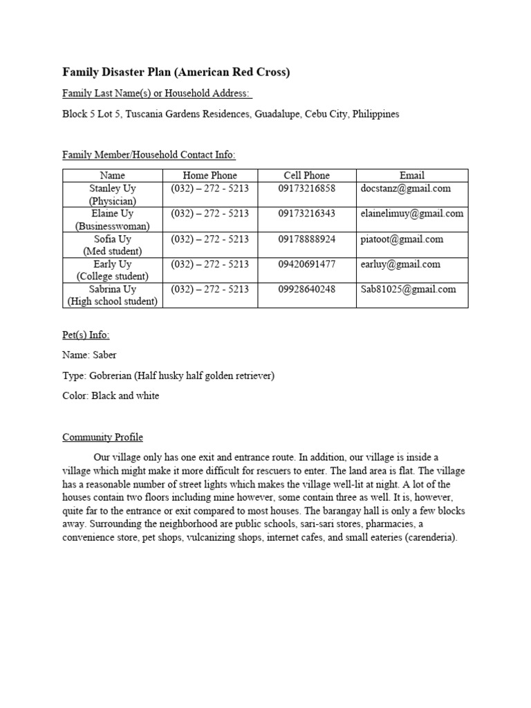 Family Preparedness Plan | PDF | Wellness