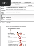 Lesson Plan in Science 6 Muscular System | PDF | Skeletal Muscle ...