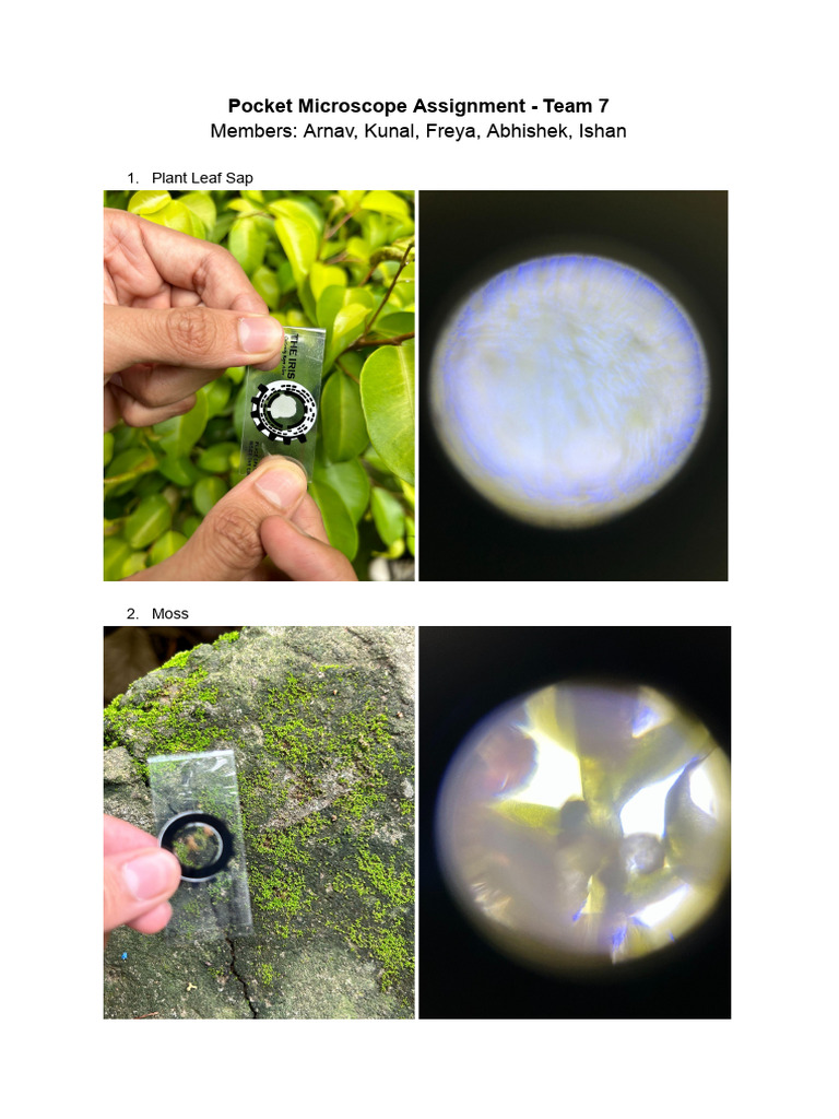 Pocket Microscope Assignment - Team 7 | PDF
