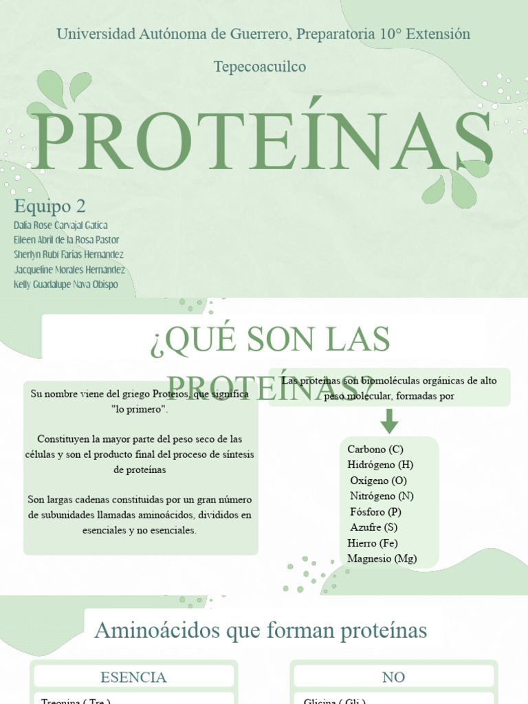 Proteínas | PDF | Aminoácidos | Proteínas