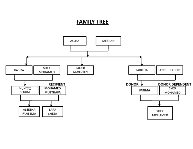 Fatima Family Tree | PDF
