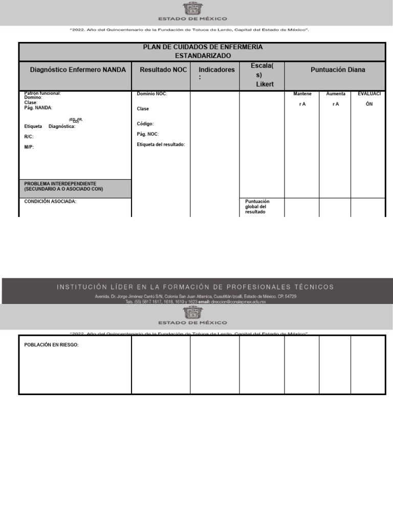 Formato Place 2022 Estandarizado | Descargar gratis PDF | Enfermería | Especialidades Medicas