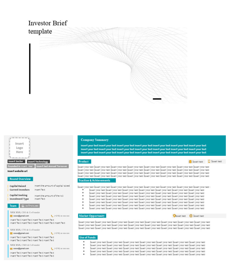 TeamLink - Investor Brief Template | PDF | Economies | Investing