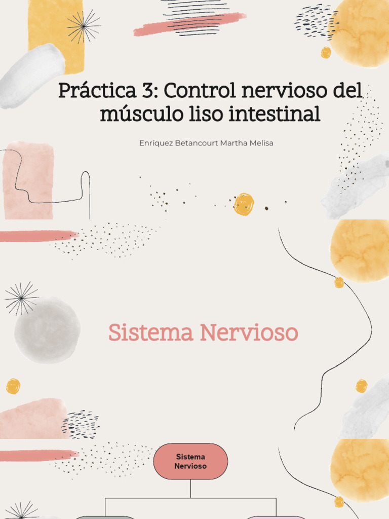 Práctica 3 Control Nervioso Del Músculo Liso Intestinal | PDF