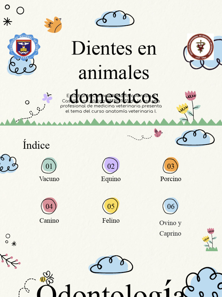 Dientes de Los Animales | PDF | Diente | Odontología
