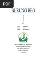 Baju Adat King Baba Dan King Bibinge Suku Dayak Provinsi Kalimantan | PDF