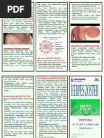 Contoh Leaflet Scabies | PDF