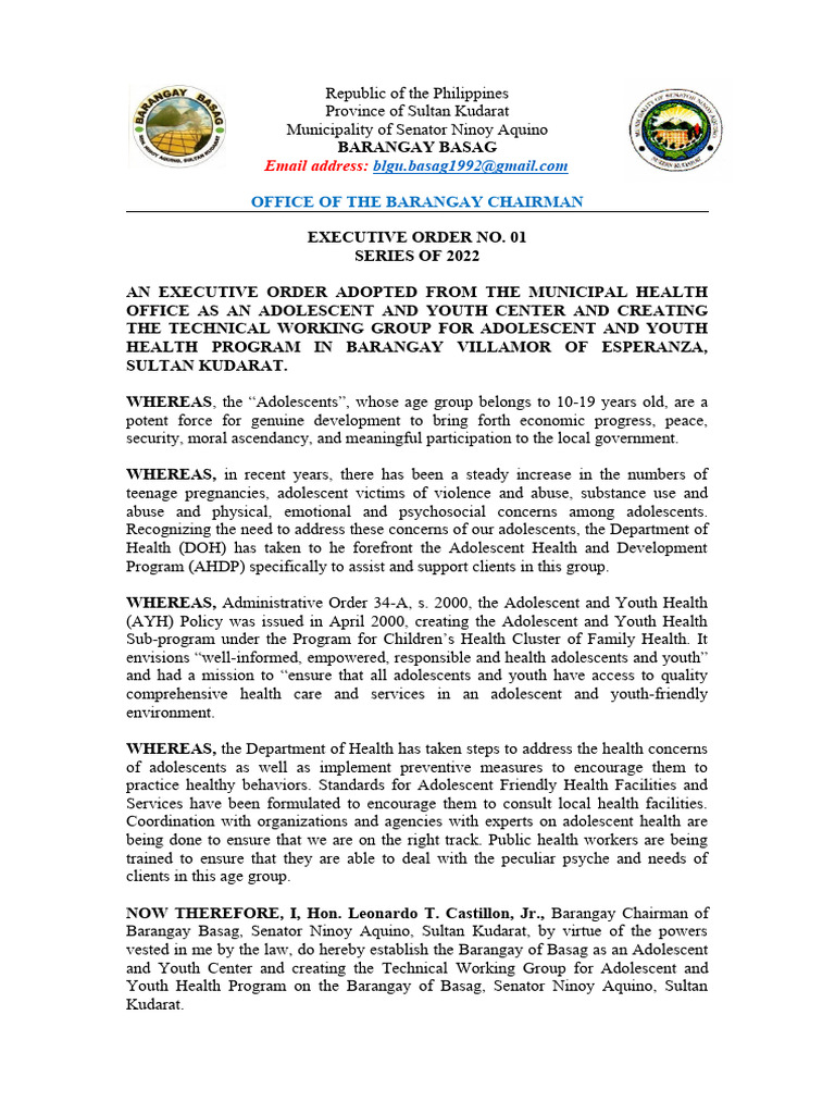 Brgy. Resolution For Adolescent | PDF | Adolescence | Youth