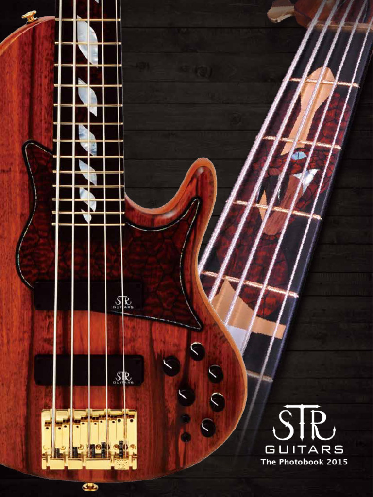 STR Deviser Instruments 2015 Catalogue | PDF | Guitars | Guitar Family Instruments