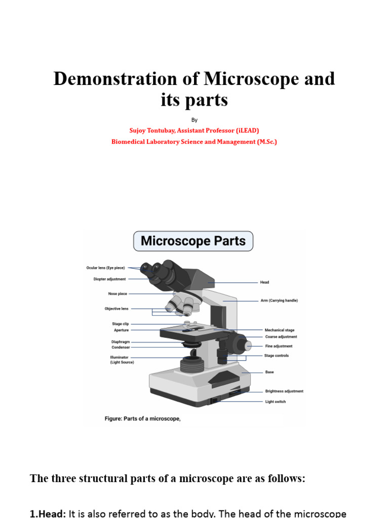 Demonstration of Microscope and Its Parts | PDF | Optical Devices ...