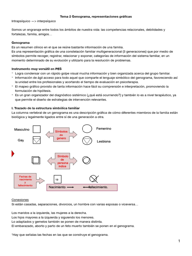 T2 y T3 Familia. Genograma y Funcionalidad | PDF | Sicología