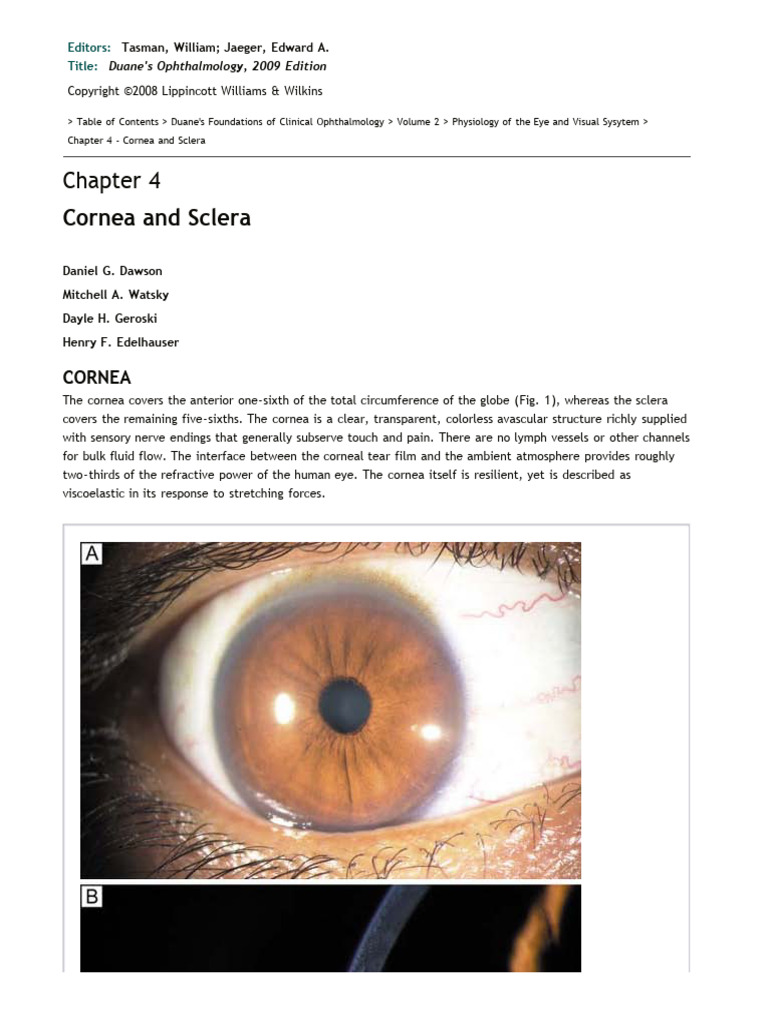 Cornea Duanes Ophthalmology 2337 2337 | PDF | Cornea | Epithelium