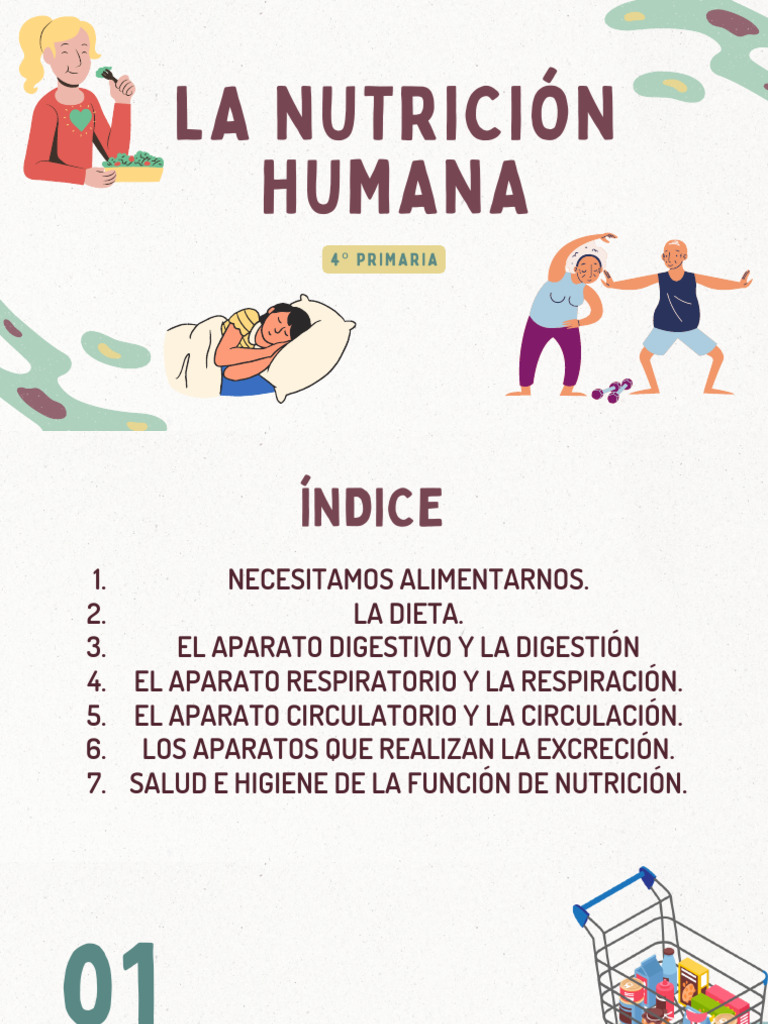 LA NUTRICIÓN HUMANA | PDF | Sistema digestivo humano | Sistema respiratorio