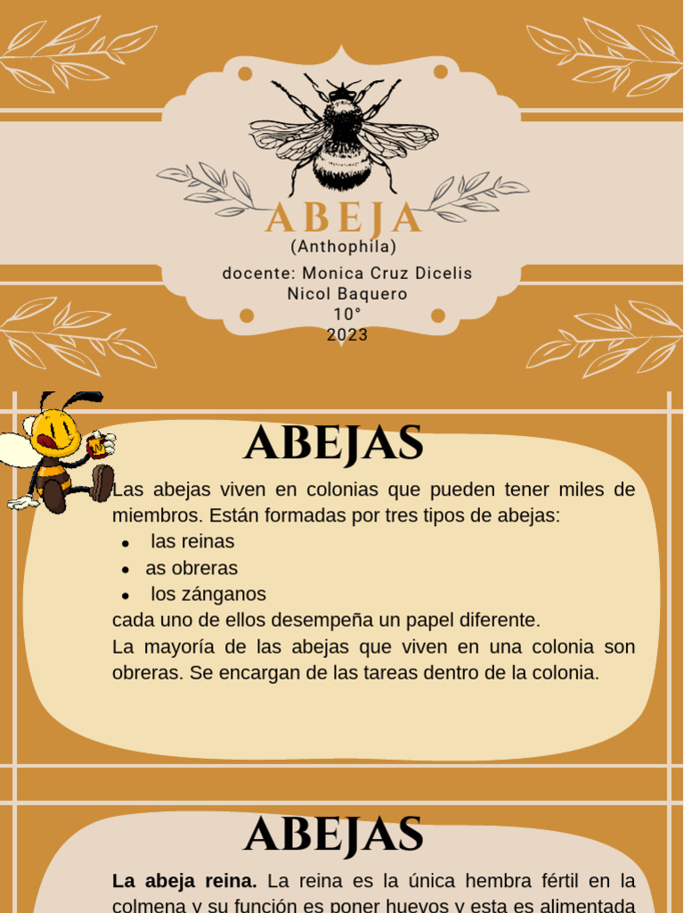 Ciclo de Vida y Funciones de las Abejas | PDF | Western Honey Bee | Abejas