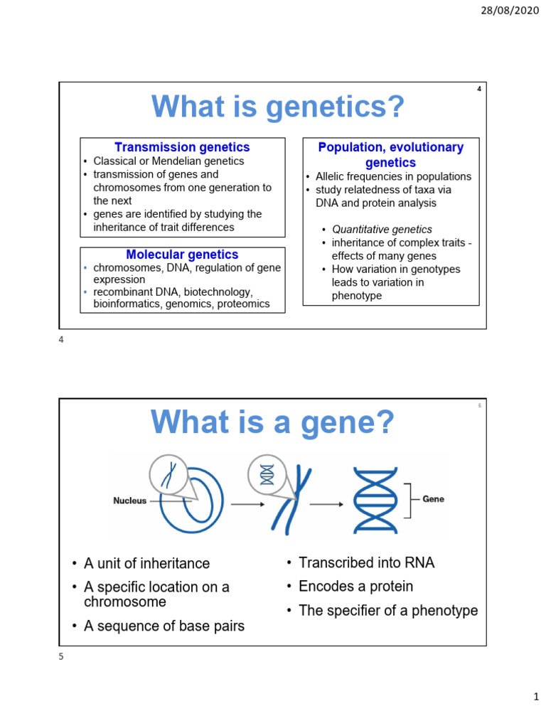Introduction To Genetics | PDF | Zygosity | Gene