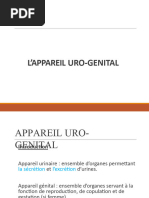 Cystostomie à minima : Technique et soins | PDF | Vessie | Appareil ...
