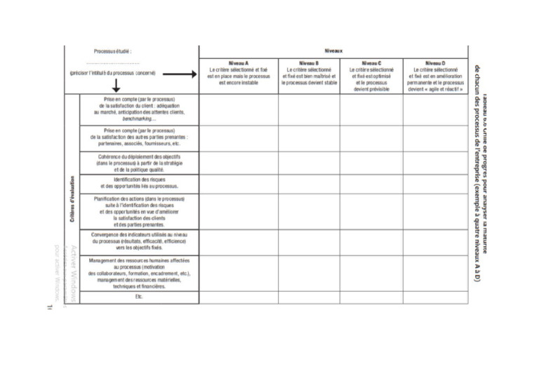 Grille D'evaluation Des Processus | PDF