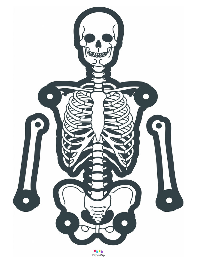 Skeleton Templates | PDF