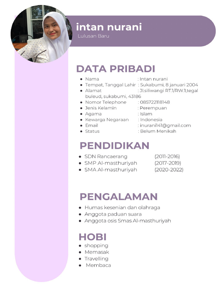 CV Intan | PDF