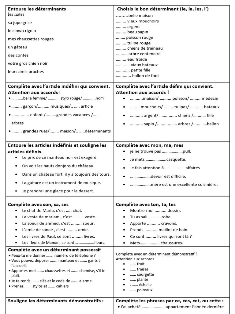 Les Déterminants | PDF