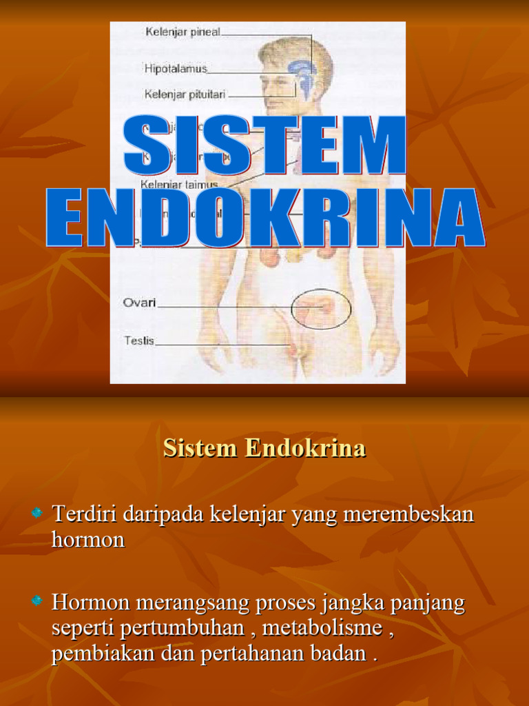 Sistem Endokrina t5 | PDF