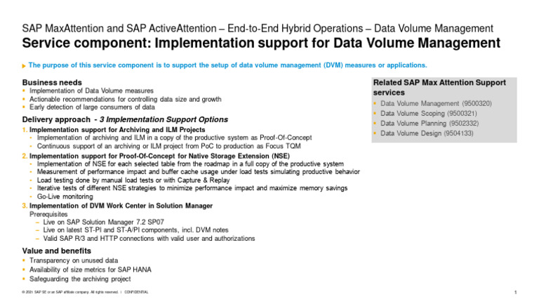 SAP Data Volume Management Guide | PDF | Computing | Information ...