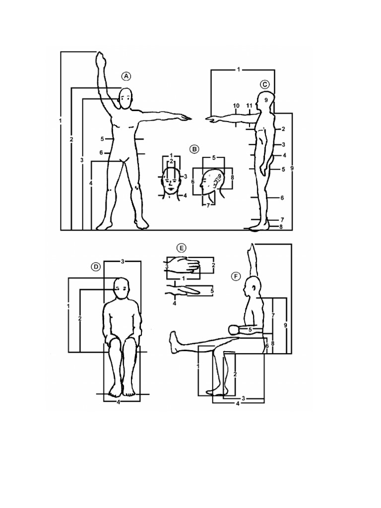 Antropometria Pdf Medición Antropometría