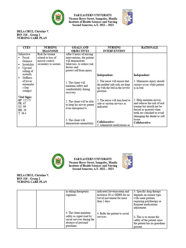 Seizure NCP | PDF | Nursing | Injury