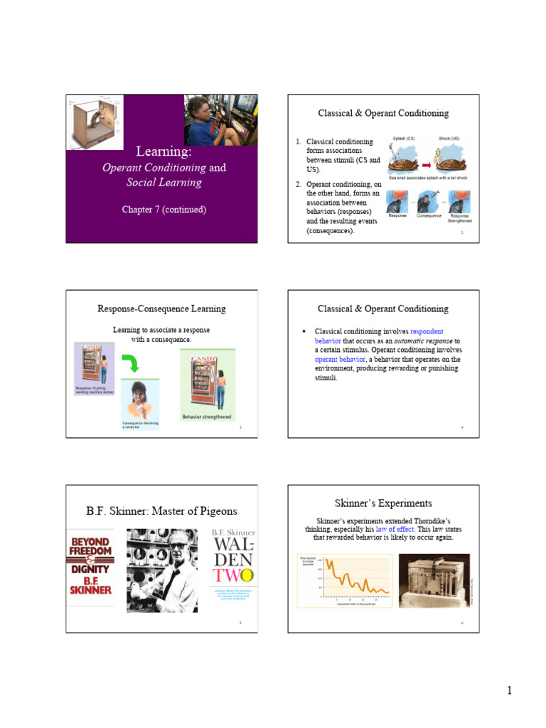 Classical & Operant ConditioningTheory | PDF | Reinforcement ...