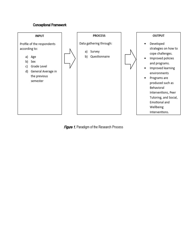 Conceptional Framework | PDF