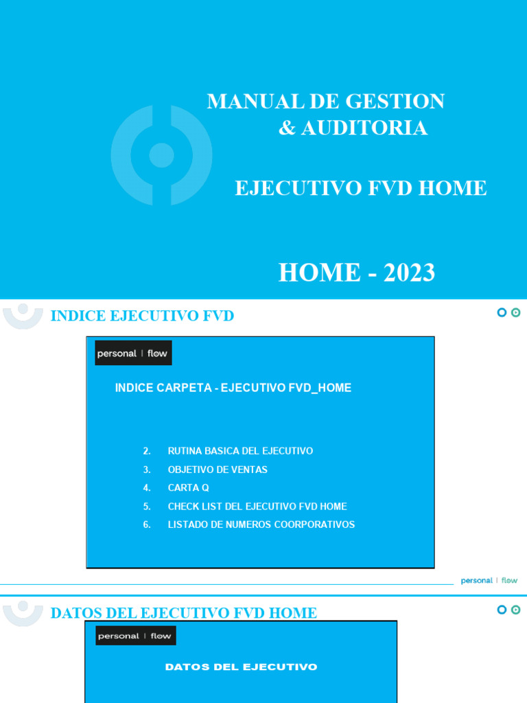 Manual de Gestion y Auditoria Ejecutivo HOME | PDF
