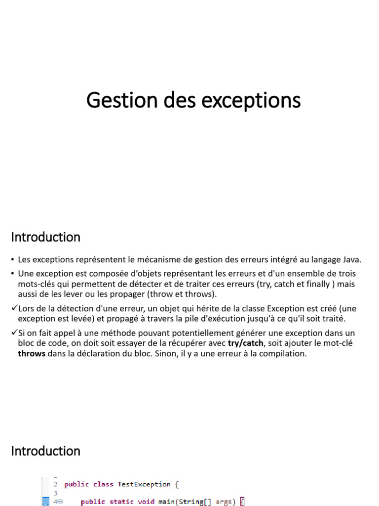 3 Programmer En Java Exceptions Pdf Java Langage De Programmation 5155