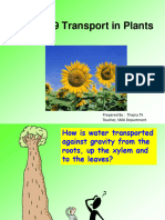 Grade 8 - Photosynthesis and Respiration (Notes) | PDF | Photosynthesis ...