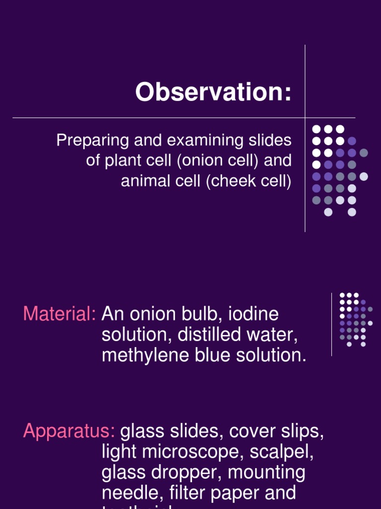 Observation of Plant and Animal Cell | PDF | Wellness