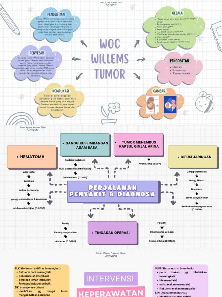 Mind Mapping Willems Tumor Pdf 