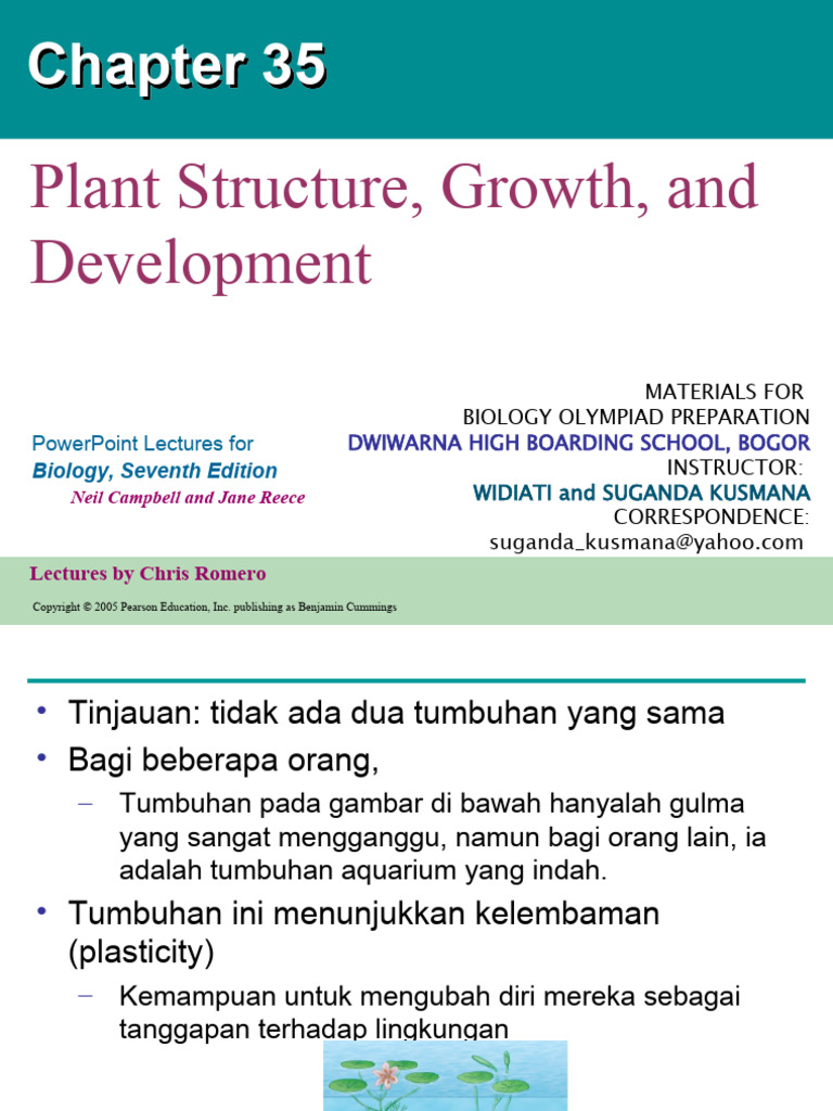 Chapter 35 Plant Structure, Growth, and Development | PDF