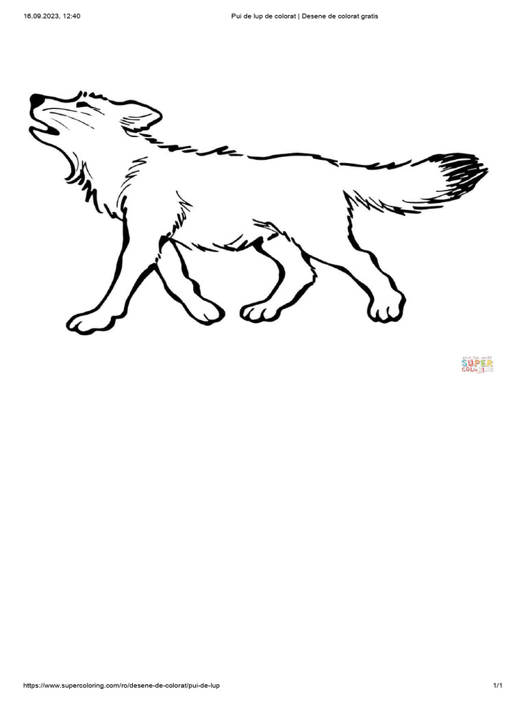 Pui de lup de colorat _ Desene de colorat | PDF