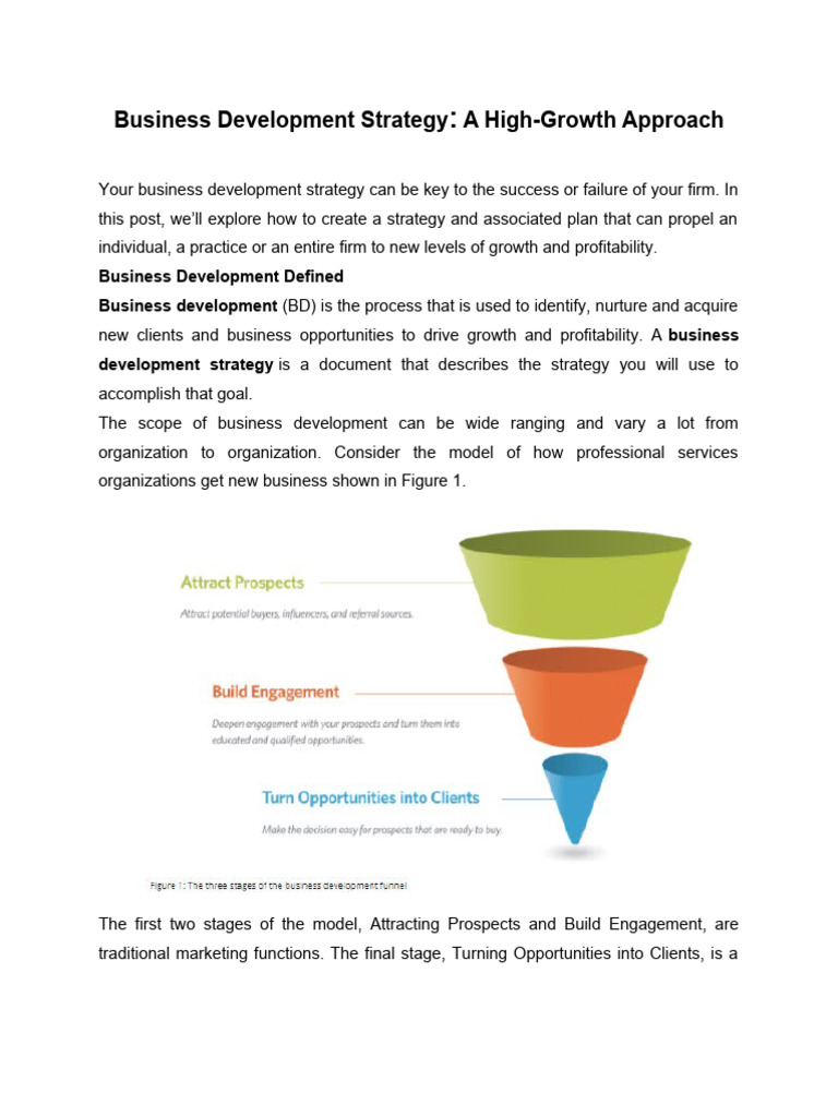 Bussines Development Strategy | PDF | Marketing | Target Audience