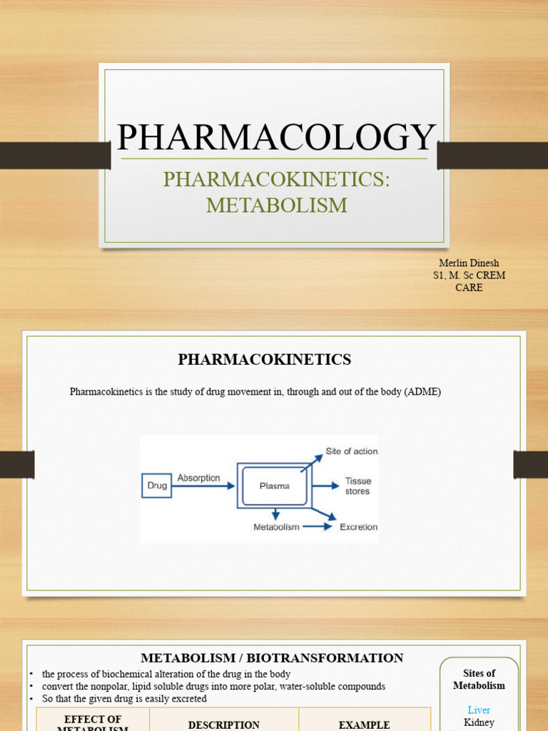 Drug Metabolism and Pharmacokinetics | PDF | Drug Metabolism | Metabolism