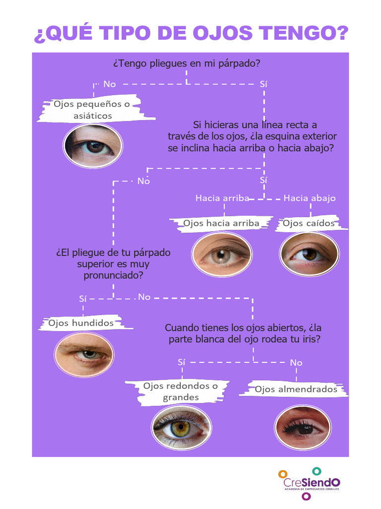 Tipos de Ojos | PDF