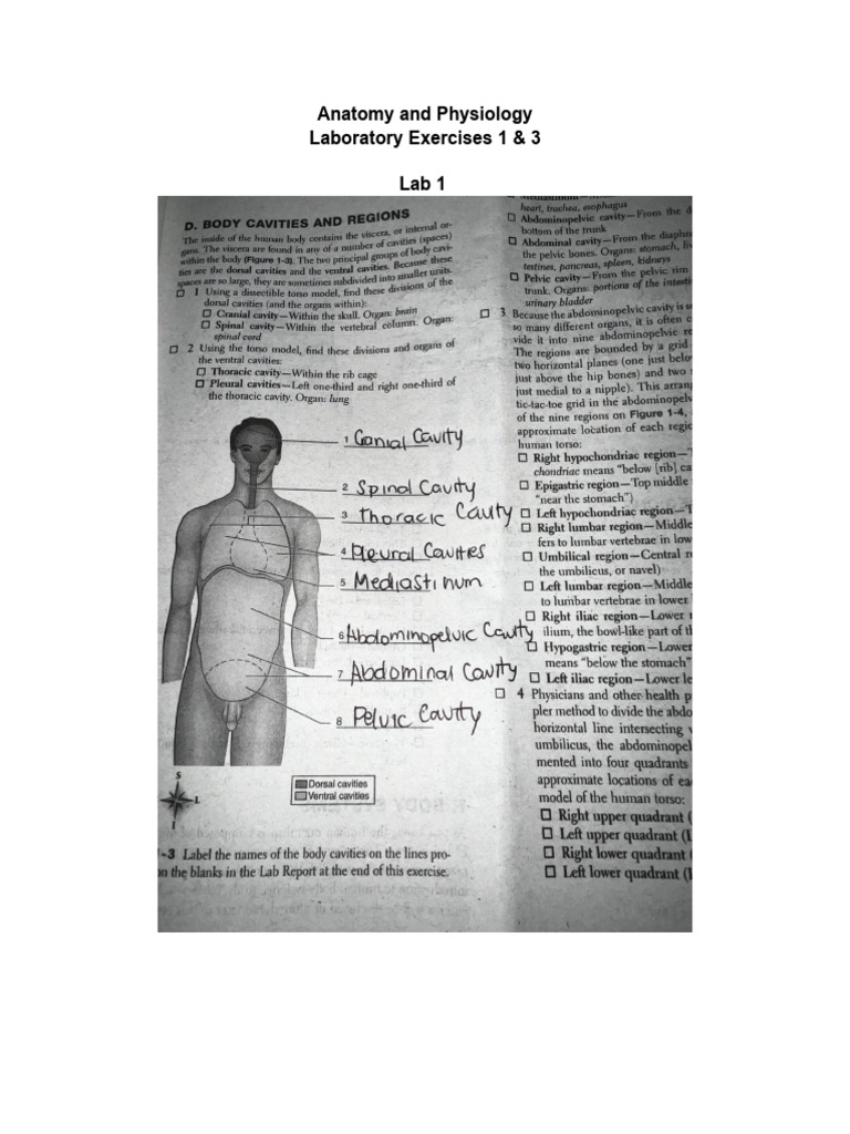 Lab Exercise 1 and 3 | PDF