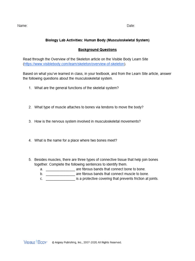 Bio Learn Lab Activities Musculoskeletal Full Student | PDF | Anatomical Terms Of Motion | Human ...