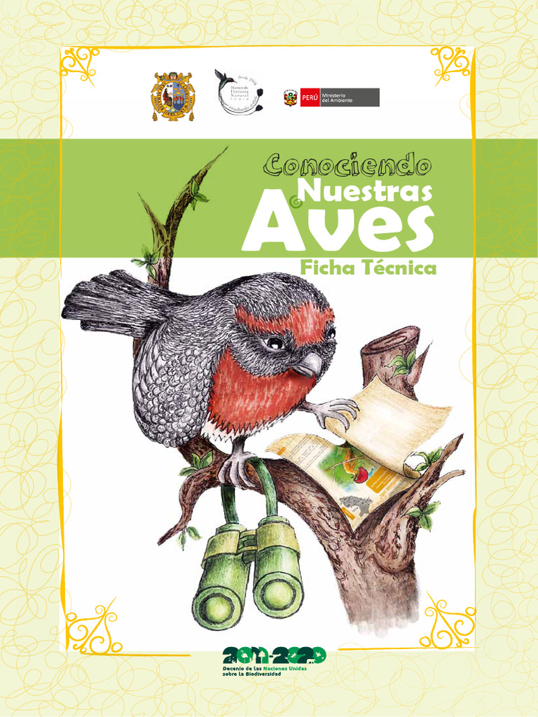 Conociendo Nuestras Aves - Fichas | PDF | Perú | Aves