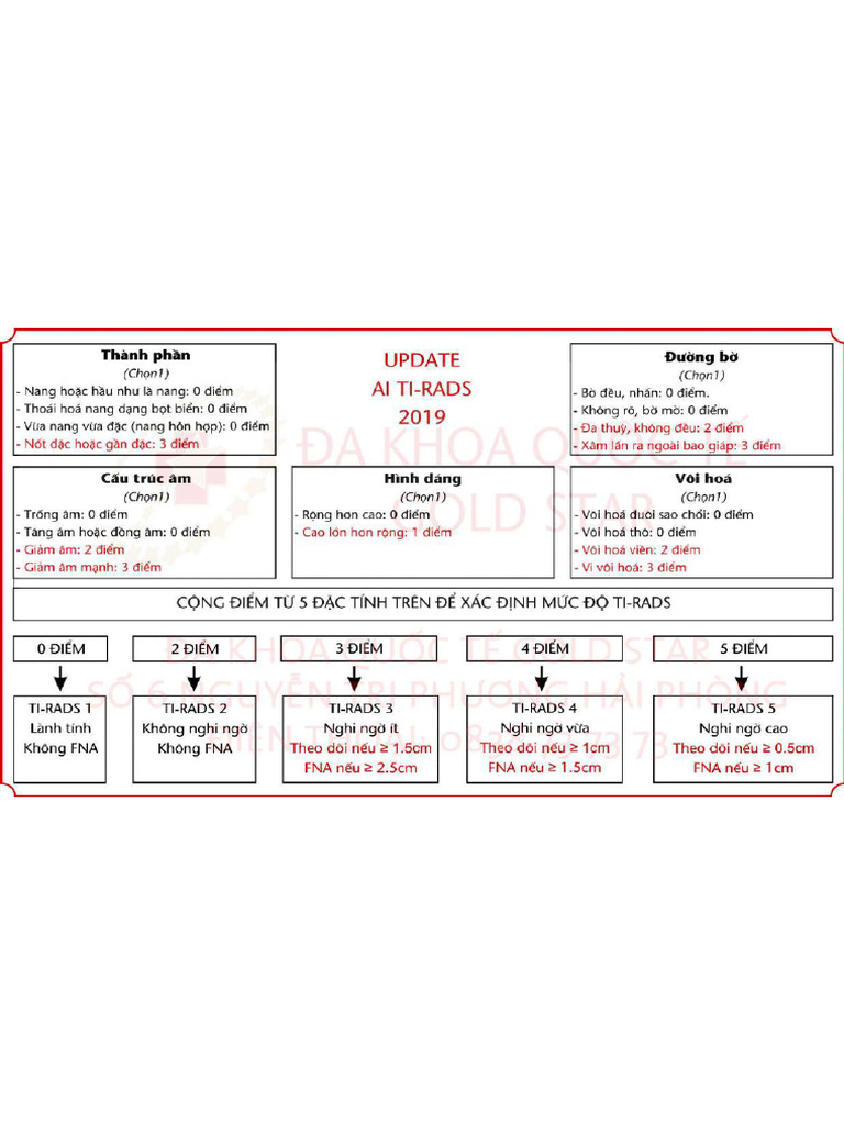 Ti-Bi Rads | PDF